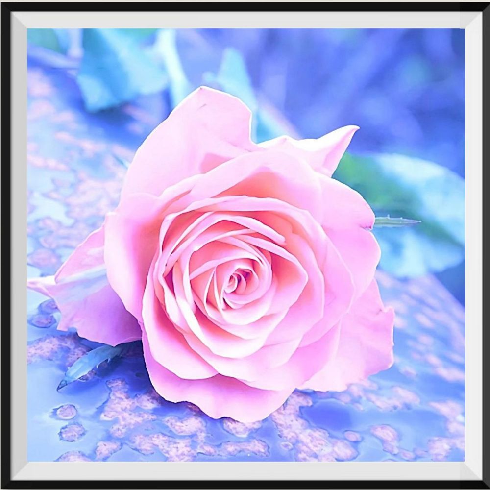 Rose 5d Diy Diamond Painting Kits UK Handwork Hobby AF9313 ...
