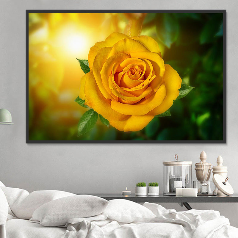Rose 5d Diy Diamond Painting Kits UK Handwork Hobby DS100952079 ...